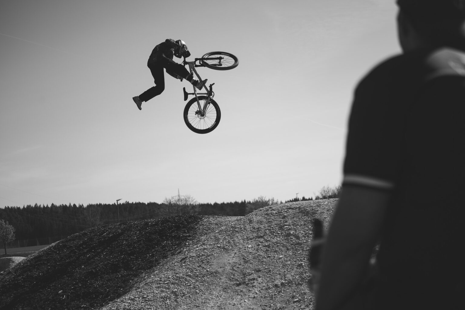 Rochen Jochen: Der erste seiner Art - espresso - das Ingolstädter ...