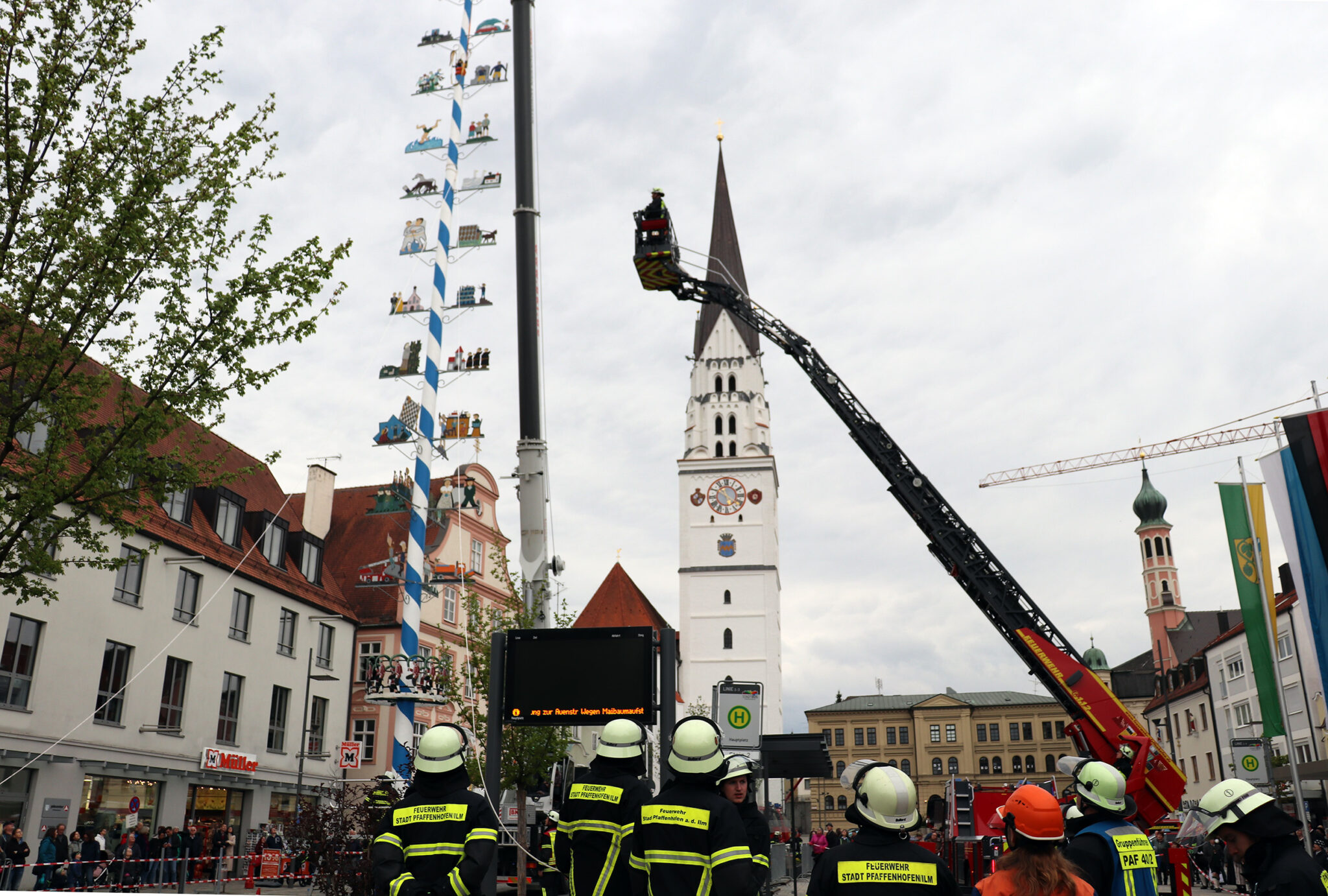Rochen Jochen: Der erste seiner Art - espresso - das Ingolstädter ...
